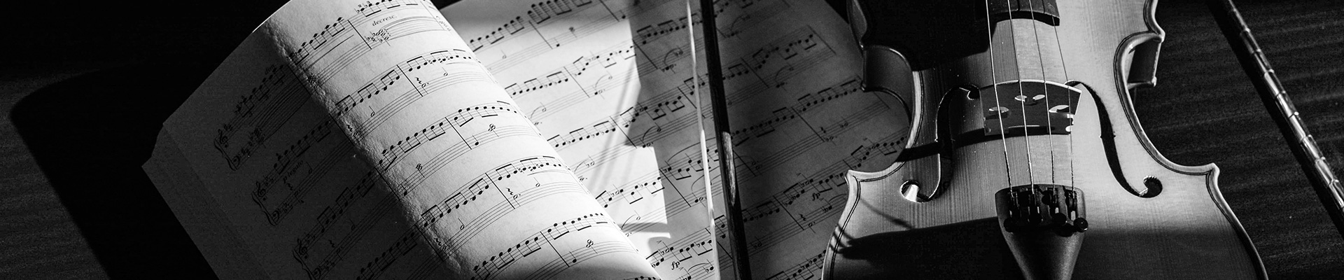 Products Archive - All things strings