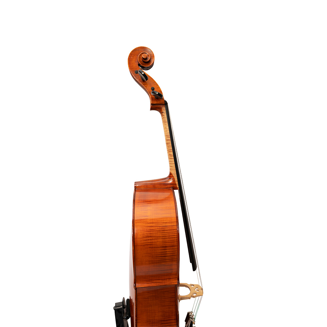 Appassionato Cello Outfit - All things strings